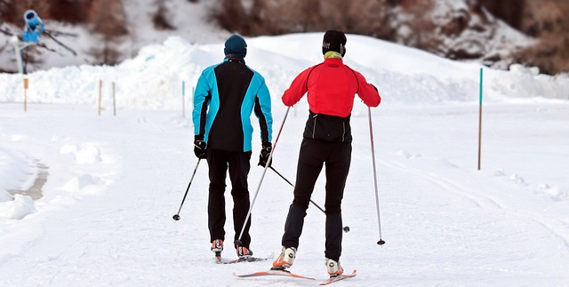 Ski Marathon – Europameisterschaften Online